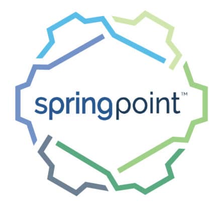 Industrial Process Software Solutions | Spring Point Solutions